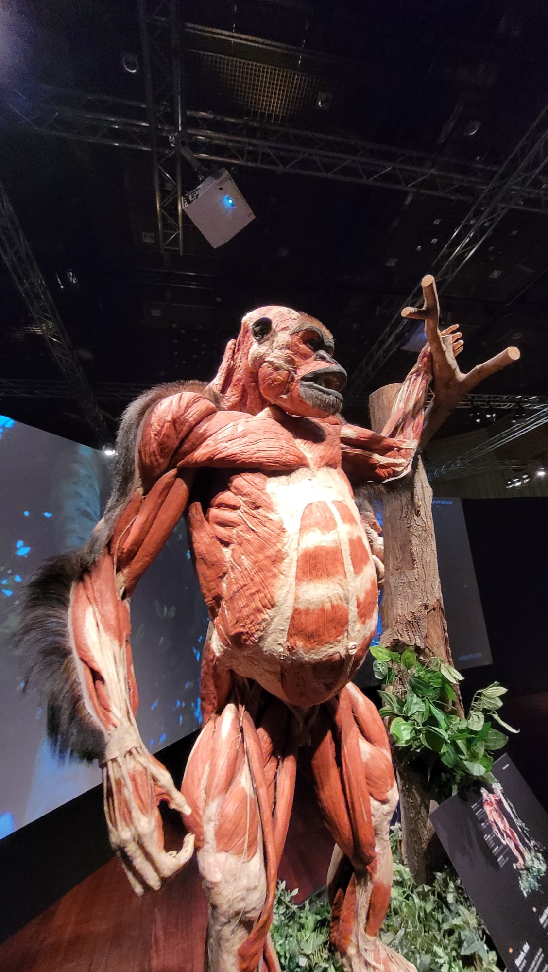 Körperwelten in Saarbrücken - Gemeinschaftsschule Eppelborn